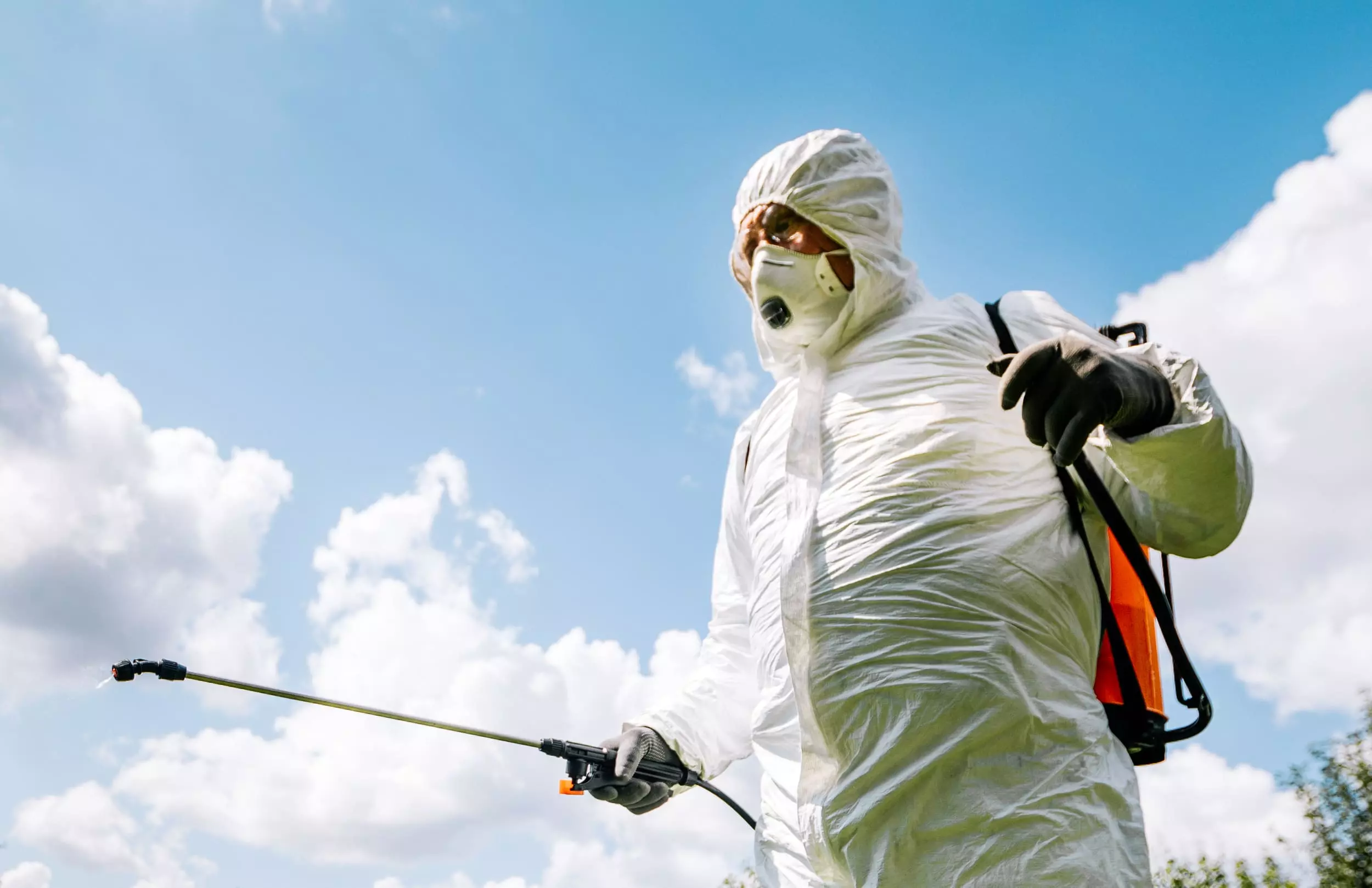 Kompleksowe usługi DDD - PatronPest